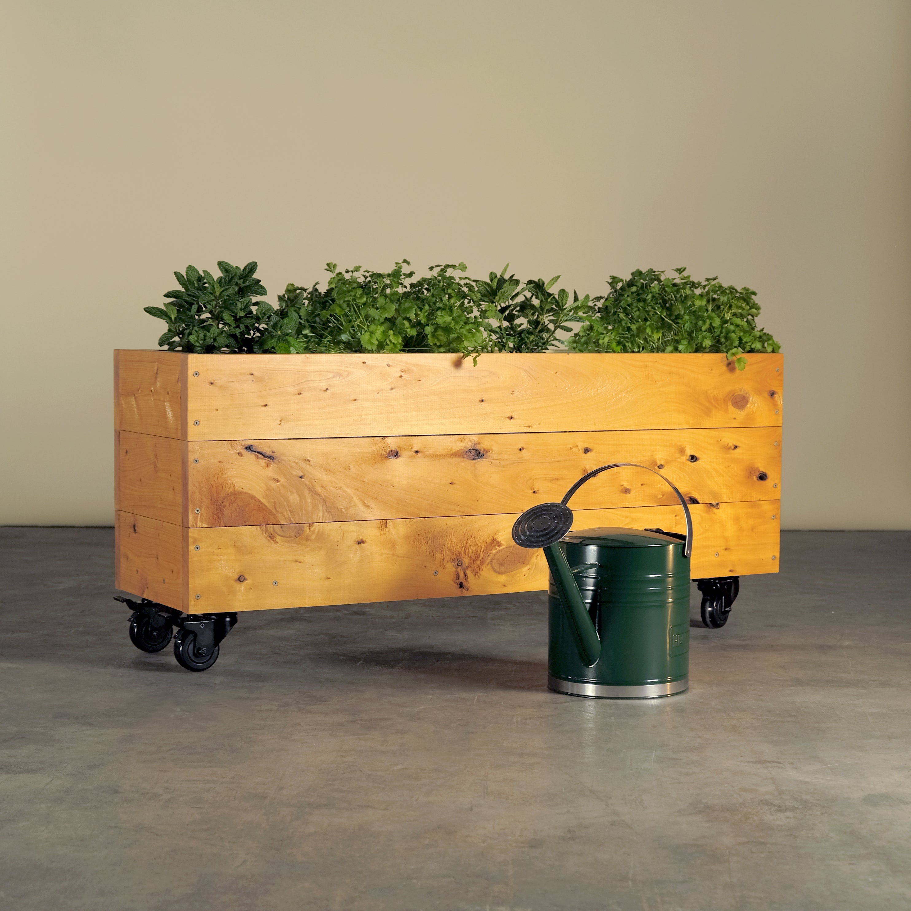 Timber Planter Boxes – Bloom Box Products