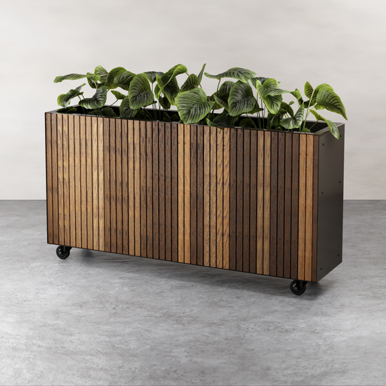 Allo Clad Barrier planter – Bloom Box Products