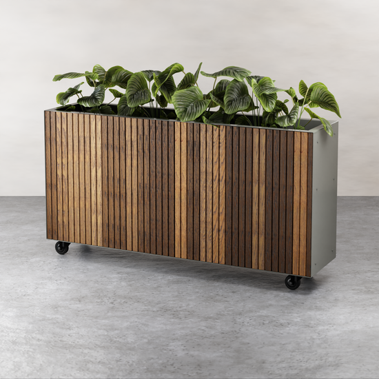 Allo Clad Barrier planter – Bloom Box Products