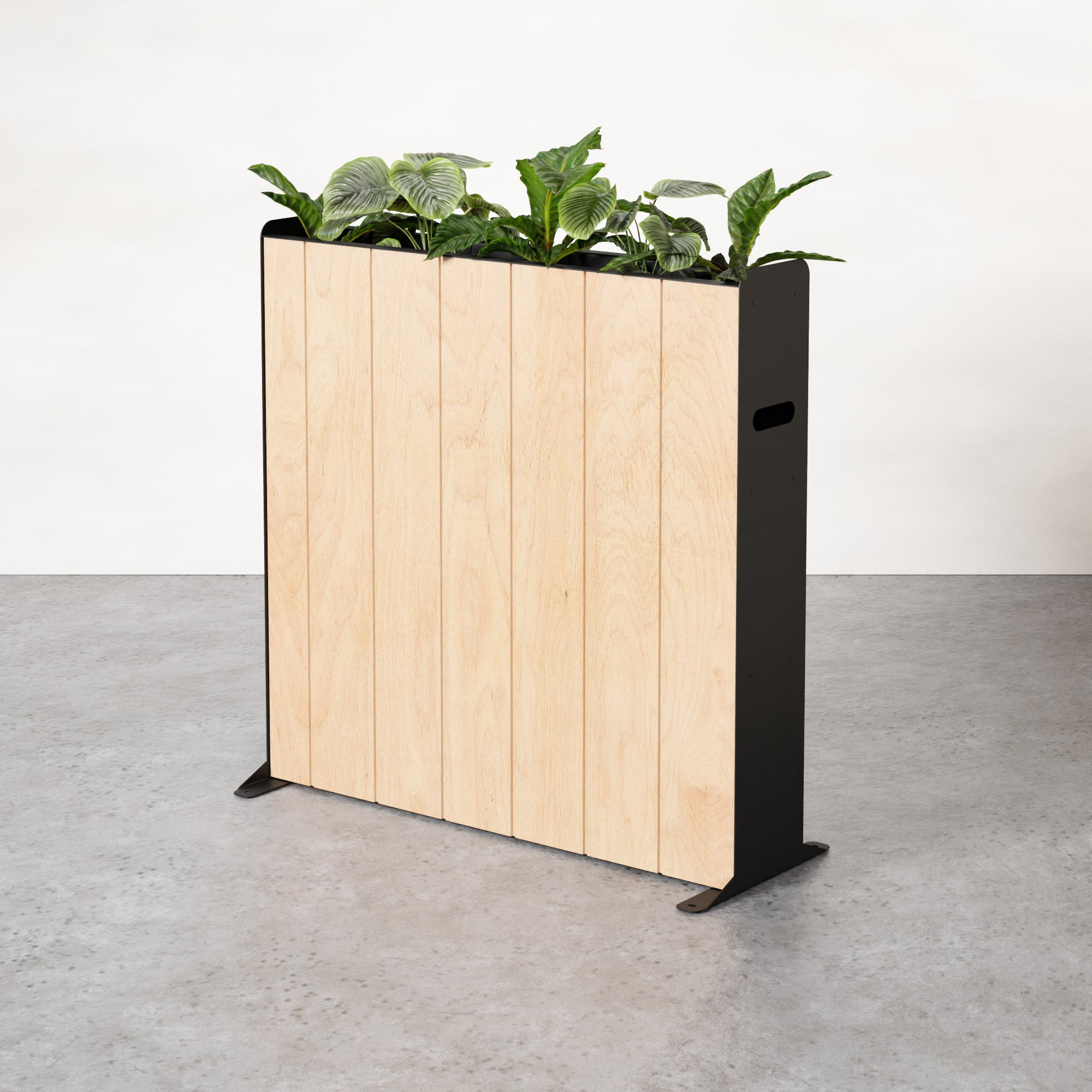 Bert - Cafe Barrier Planter – Bloom Box Products