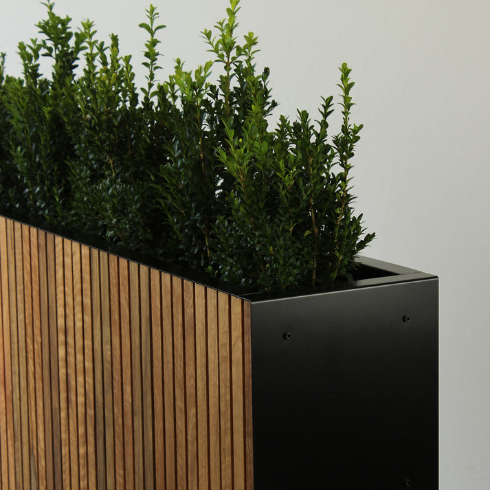 Allo Clad Barrier planter – Bloom Box Products