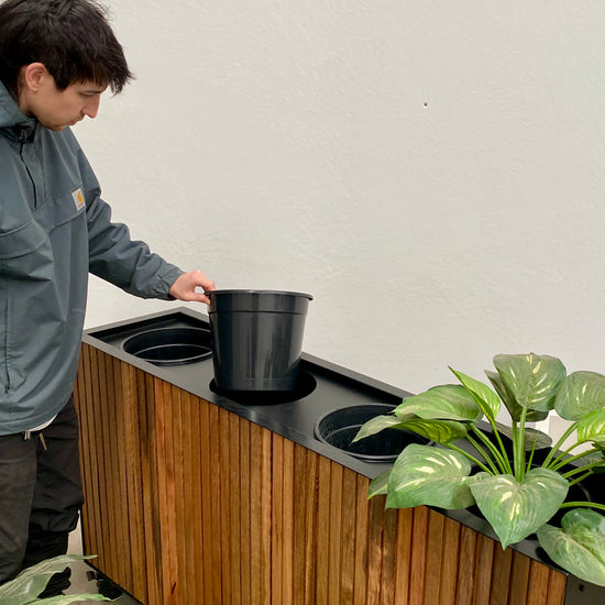 Allo Clad Barrier planter – Bloom Box Products