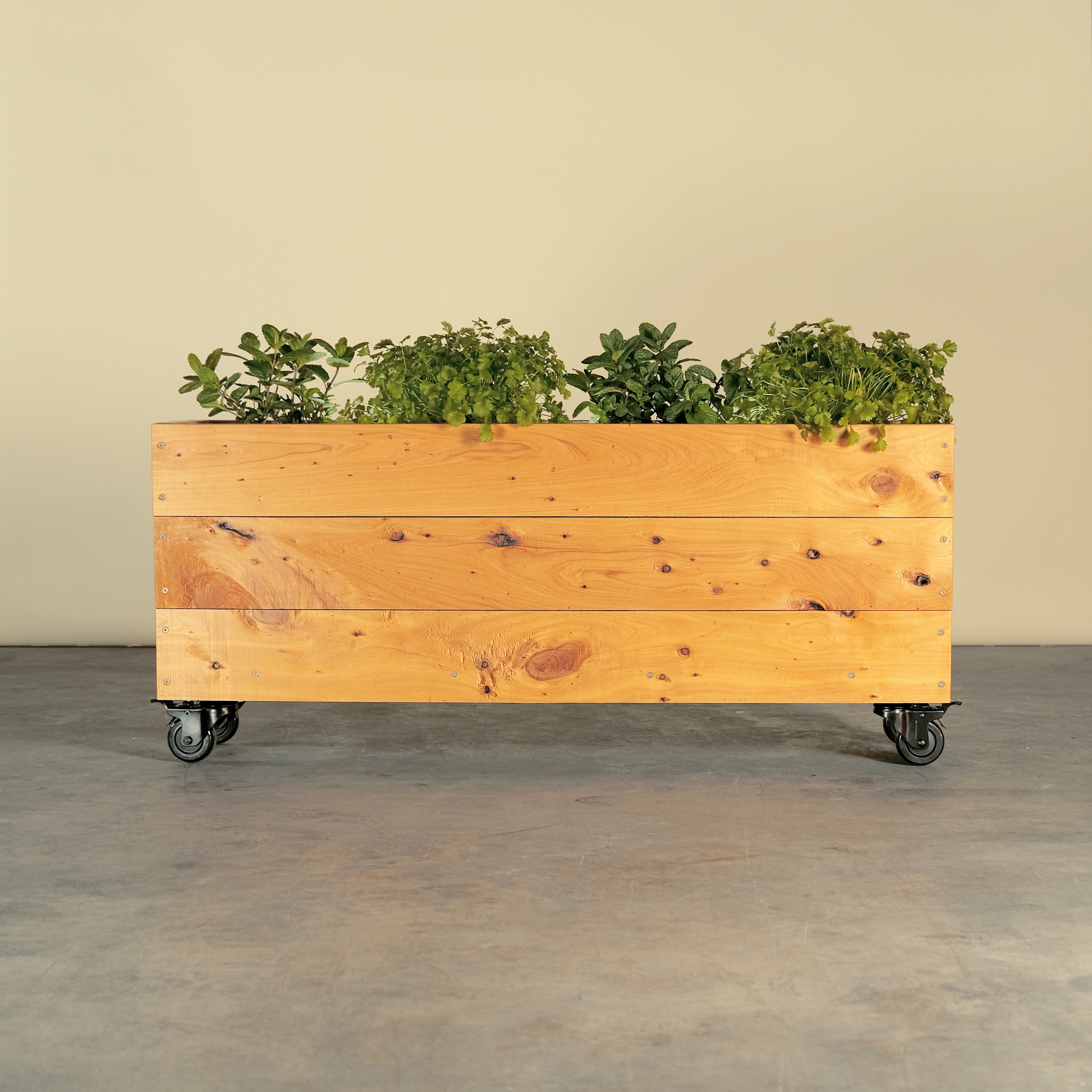 Timber Planter Boxes#N# – Bloom Box Products